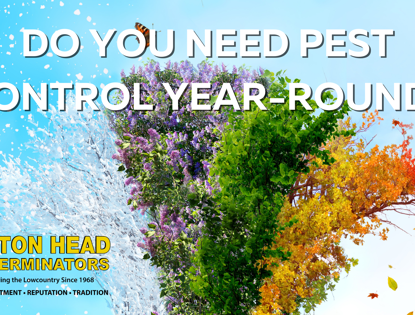 Hilton Head Island Pest Control | Hilton Head Exterminators
